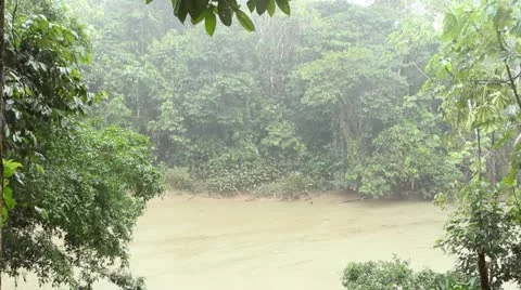 Amazon Rainforest Storm Stock Videos – Royalty-Free HD & 4K Videos | Pond5