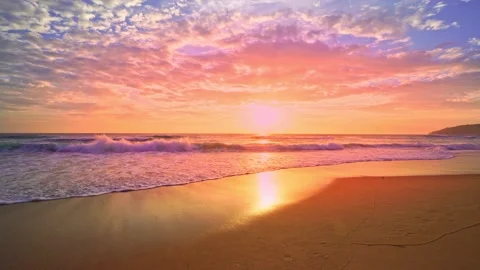 Will We Re Stock Videos – Royalty-Free HD & 4K Videos