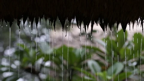 Tropical summer rain falling big rain dr... | Stock Video | Pond5