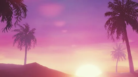 Tropical Sunset with Palm Tree Animation | Stock Video | Pond5