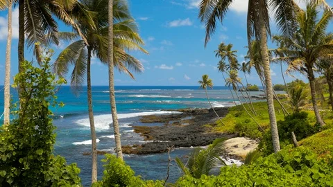 Tropical vibrant natural beach on Samoa ... | Stock Video | Pond5