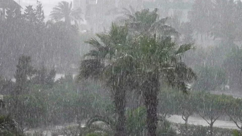 Tropical wind and rain drops falling on ... | Stock Video | Pond5