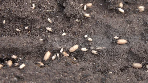 Safe Place To Stock Videos – Royalty-Free HD & 4K Videos | Pond5