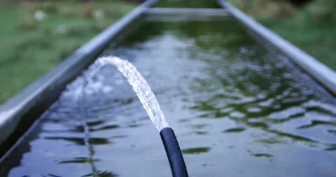 Trough for animals filling with water. L... | Stock Video | Pond5