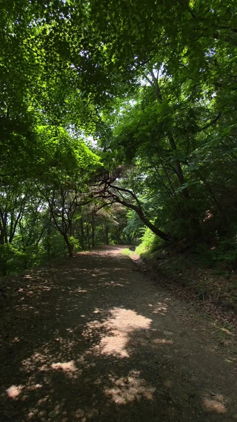 On Road Trucking Stock Videos – Royalty-Free HD & 4K Videos