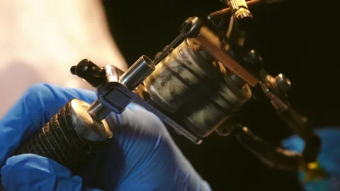 Pattern Spider Stock Videos – Royalty-Free HD & 4K Videos | Pond5