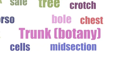 Trunk Botany Word Cloud Animated On Whit... | Stock Video | Pond5
