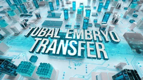 Tubal Embryo Transfer with medical digit... | Stock Video | Pond5