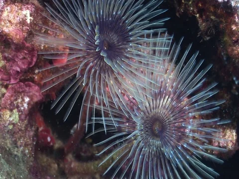 Tube With Fan Stock Videos – Royalty-Free HD & 4K Videos