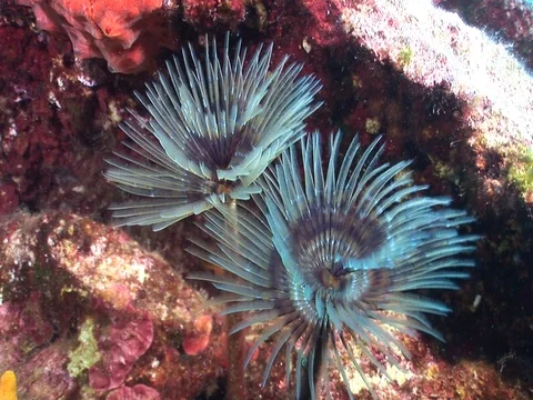 Tube With Fan Stock Videos – Royalty-Free HD & 4K Videos