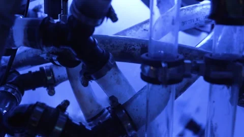 Tubular Hoses Ant Farm Blue Light Horror... | Stock Video | Pond5