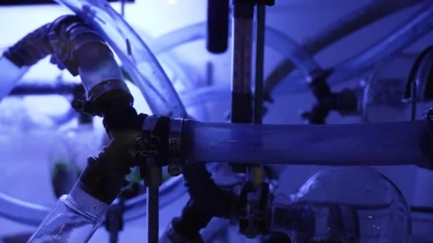 Tubular Hoses Ant Farm Blue Light Horror... | Stock Video | Pond5