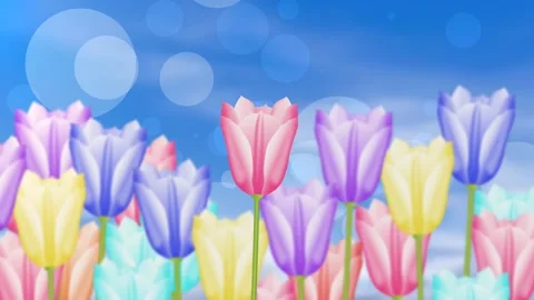 tulip flower animation with blur effect | Stock Video | Pond5