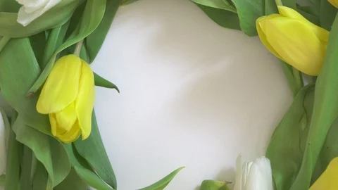 Tulips rotate. Spring flowers. | Stock Video | Pond5