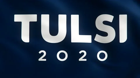 Tulsi Gabbard President 2020 Logo 4k Bac... | Stock Video | Pond5