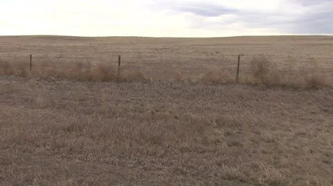 Tumbleweed Rolling Stock Videos – Royalty-Free HD & 4K Videos