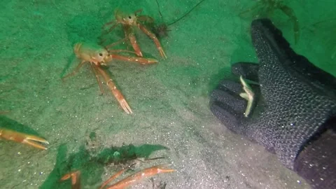 Creepy Squats Stock Footage ~ Royalty Free Stock Videos | Pond5