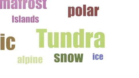 Tundra Word Cloud Animated On White Back... | Stock Video | Pond5