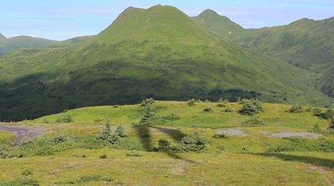 Cast Shadow Stock Video Footage | Royalty Free Cast Shadow Videos | Pond5