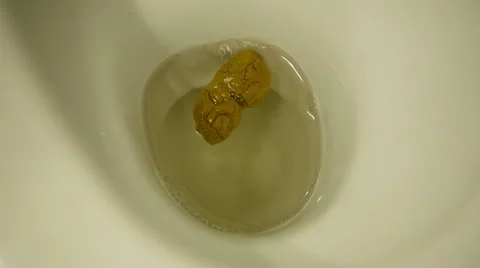 Turd Stock Video Footage | Royalty Free Turd Videos | Pond5