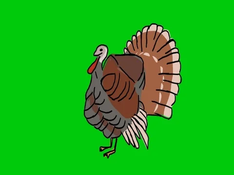 Turkey - Hand Drawn - Green Screen - SD | Stock Video | Pond5