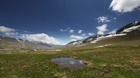 Video 4K Rilze Stock Videos – Royalty-Free HD & 4K Videos