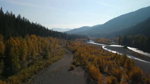 Fall Right Stock Videos – Royalty-Free HD & 4K Videos | Pond5