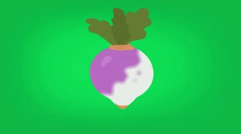 Turnip - Vector Graphics - Food Animati... | Stock Video | Pond5