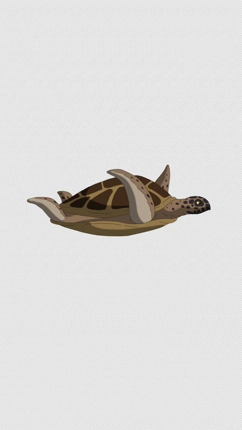 Turtle alpha matte 2D animation 4K Verti... | Stock Video | Pond5