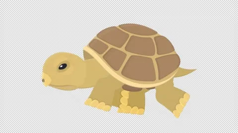 Turtle. Animation of the animal turtle. ... | Stock Video | Pond5