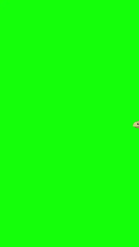 Turtle on Green Screen Background. 2D an... | Stock Video | Pond5