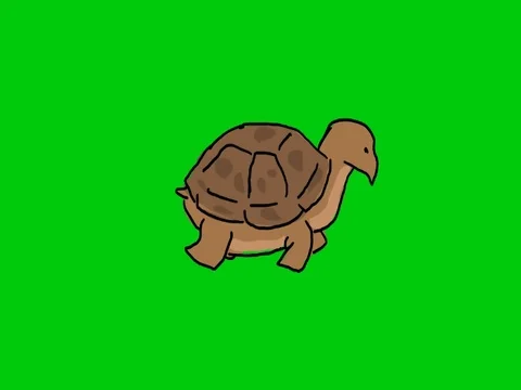 Turtle - Hand Drawn - Green Screen - SD | Stock Video | Pond5