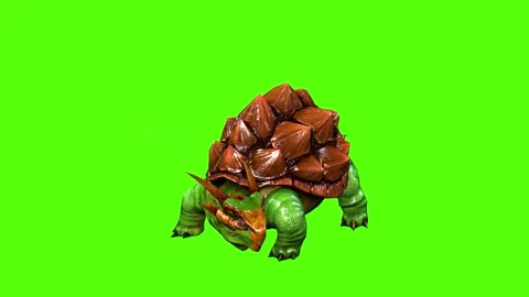 Turtle Idle Green Screen Animation and 3... | Stock Video | Pond5