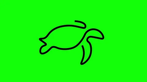 Turtle line icon on green screen. 4K | Stock Video | Pond5