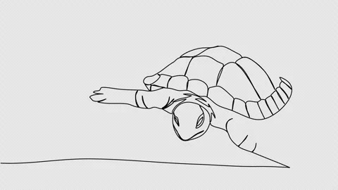 Turtle. One line drawing animation. Vide... | Stock Video | Pond5