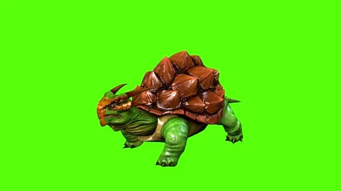 Turtle Walking Green Screen Animation an... | Stock Video | Pond5
