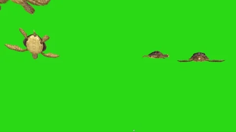 Underwater Green Screen Stock Video Footage | Royalty Free Underwater ...