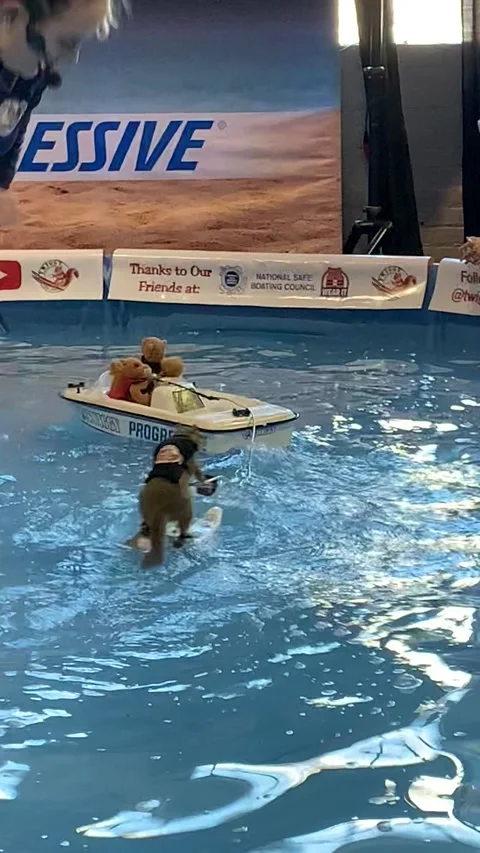 Show Water Skiing Stock Videos – Royalty-Free HD & 4K Videos