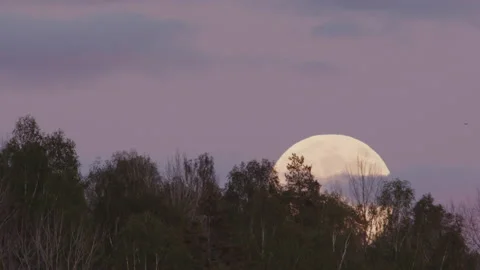 TWILIGHT, FULL MOON, ZOOM IN - A huge fu... | Stock Video | Pond5