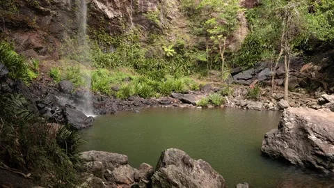 Twin Falls walk, Springbrook National Pa... | Stock Video | Pond5
