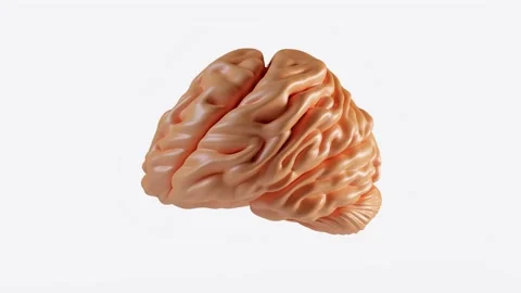 Twisted brain. Concept of human psycholo... | Stock Video | Pond5