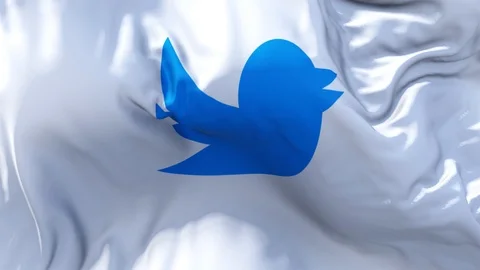 Twitter Flag Waving in Wind Continuous S... | Stock Video | Pond5