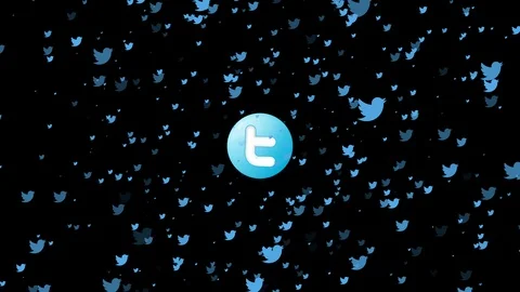 Twitter Logo Animation Stock Video Footage | Royalty Free Twitter Logo ...