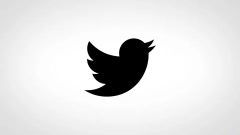 Twitter Logo Animation Stock Video Footage | Royalty Free Twitter Logo ...