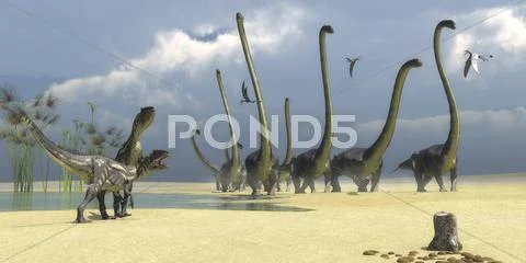 Two Allosaurus predators prepare for an attack on a herd of Omeisaurus ...