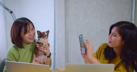 Small Asian Lesbian Stock Videos – Royalty-Free HD & 4K Videos | Pond5