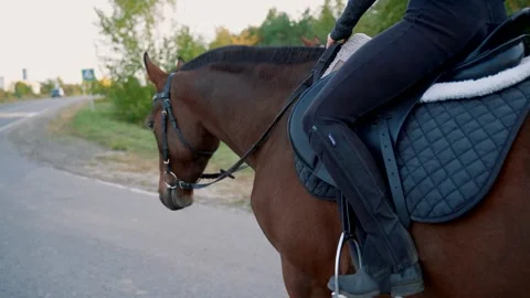 Girls Horse Breed Stock Videos – Royalty-Free HD & 4K Videos