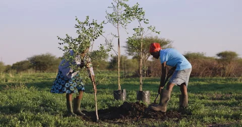 Black People Planting Trees