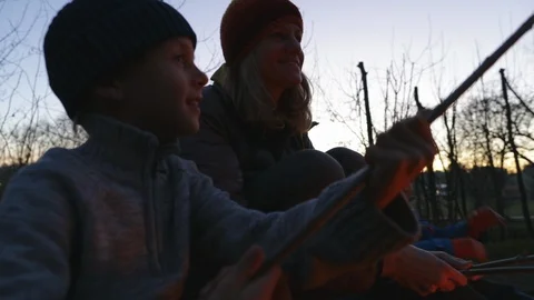 Mother With Boys Stock Videos – Royalty-Free HD & 4K Videos | Pond5