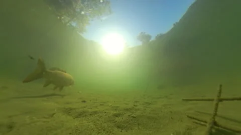 Directions To Fl Stock Videos – Royalty-Free HD & 4K Videos | Pond5